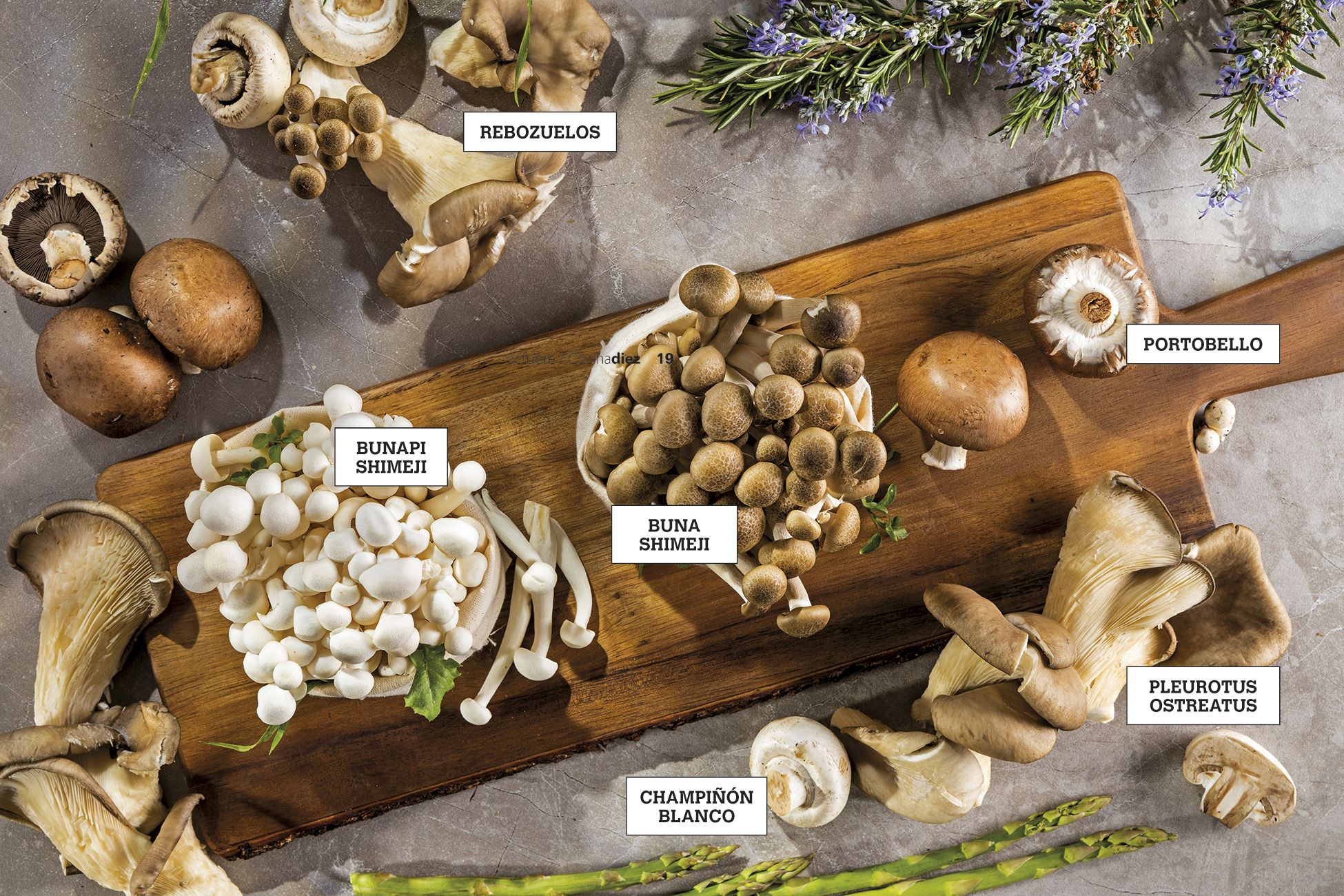 Descubre los distintos tipos de champiñones y sus usos culinarios ...