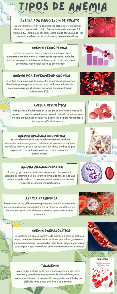 Descubre los diferentes tipos de anemias y sus causas principales ...
