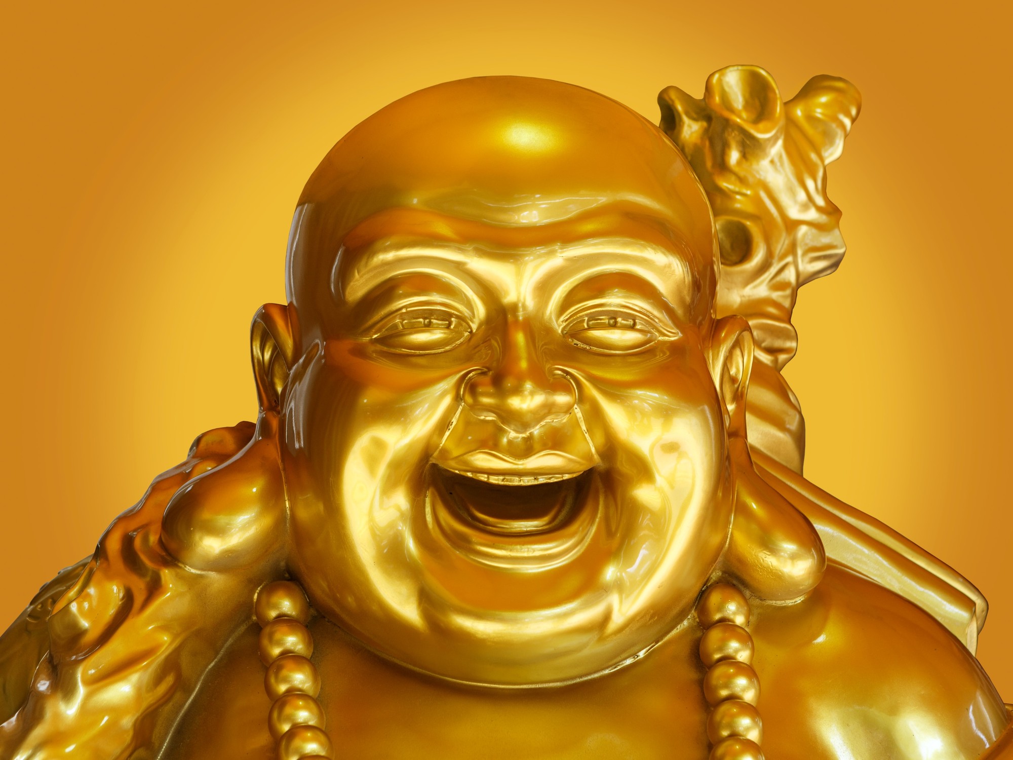 Descubriendo los Diferentes Tipos de Buda y su Profundo Significado ...