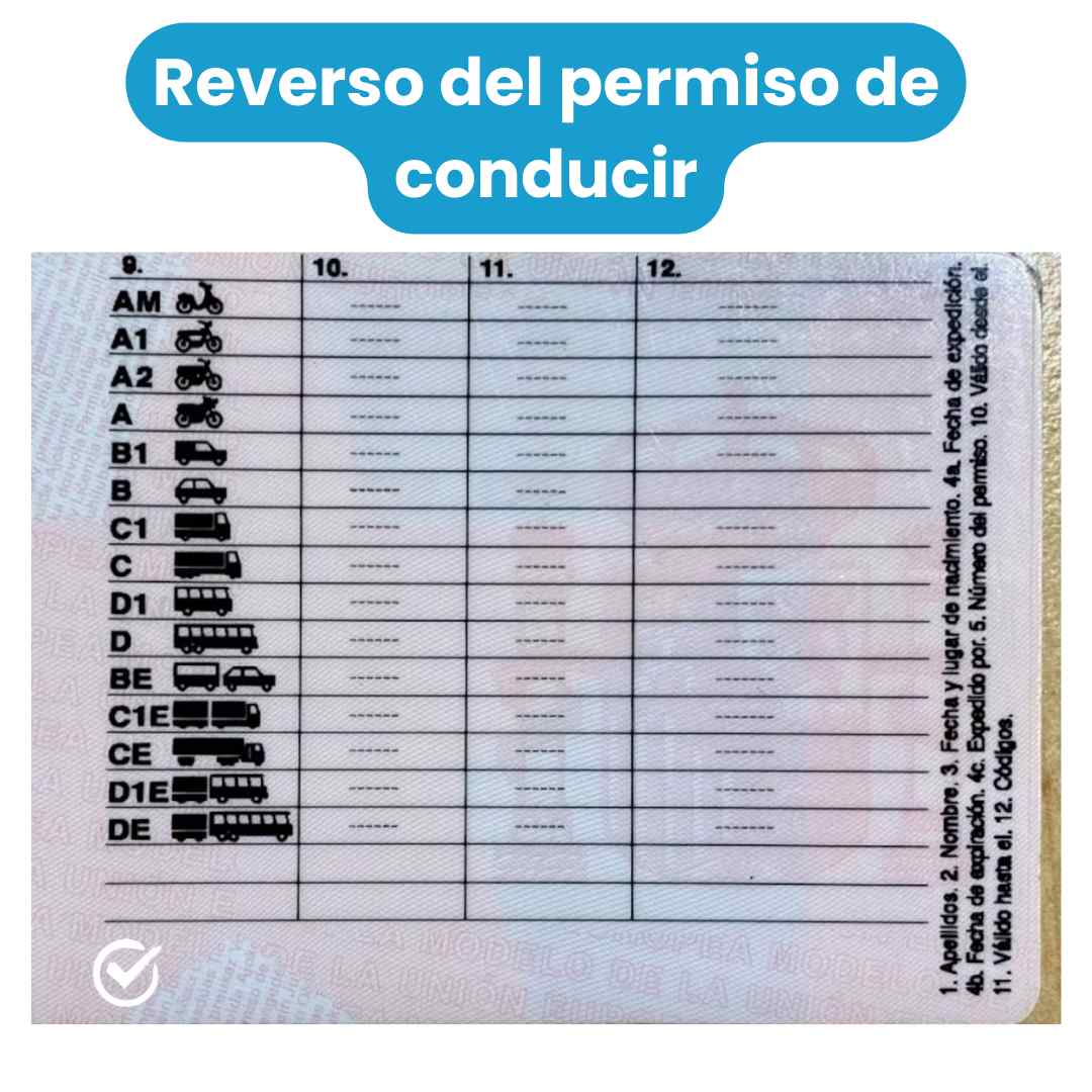 Los diferentes tipos de permiso de conducir: Guía completa en español ...