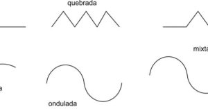 Explorando los diferentes tipos de curvas: Una guía completa ...